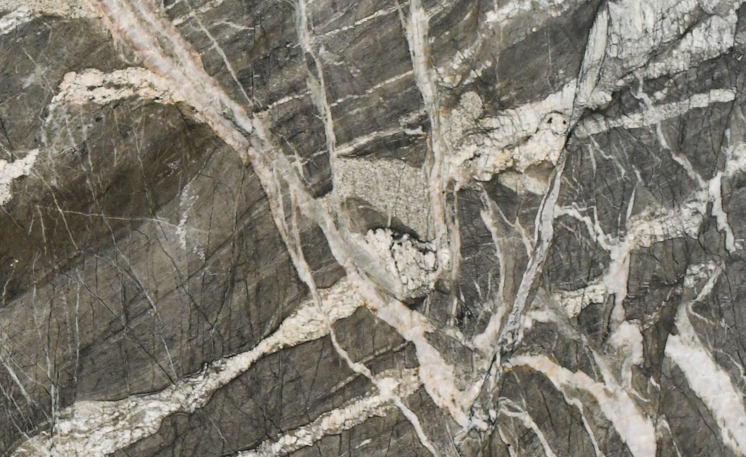 Quartzite Slabs - Surfaces by Pacific | Quartzite Countertops for Kitchen