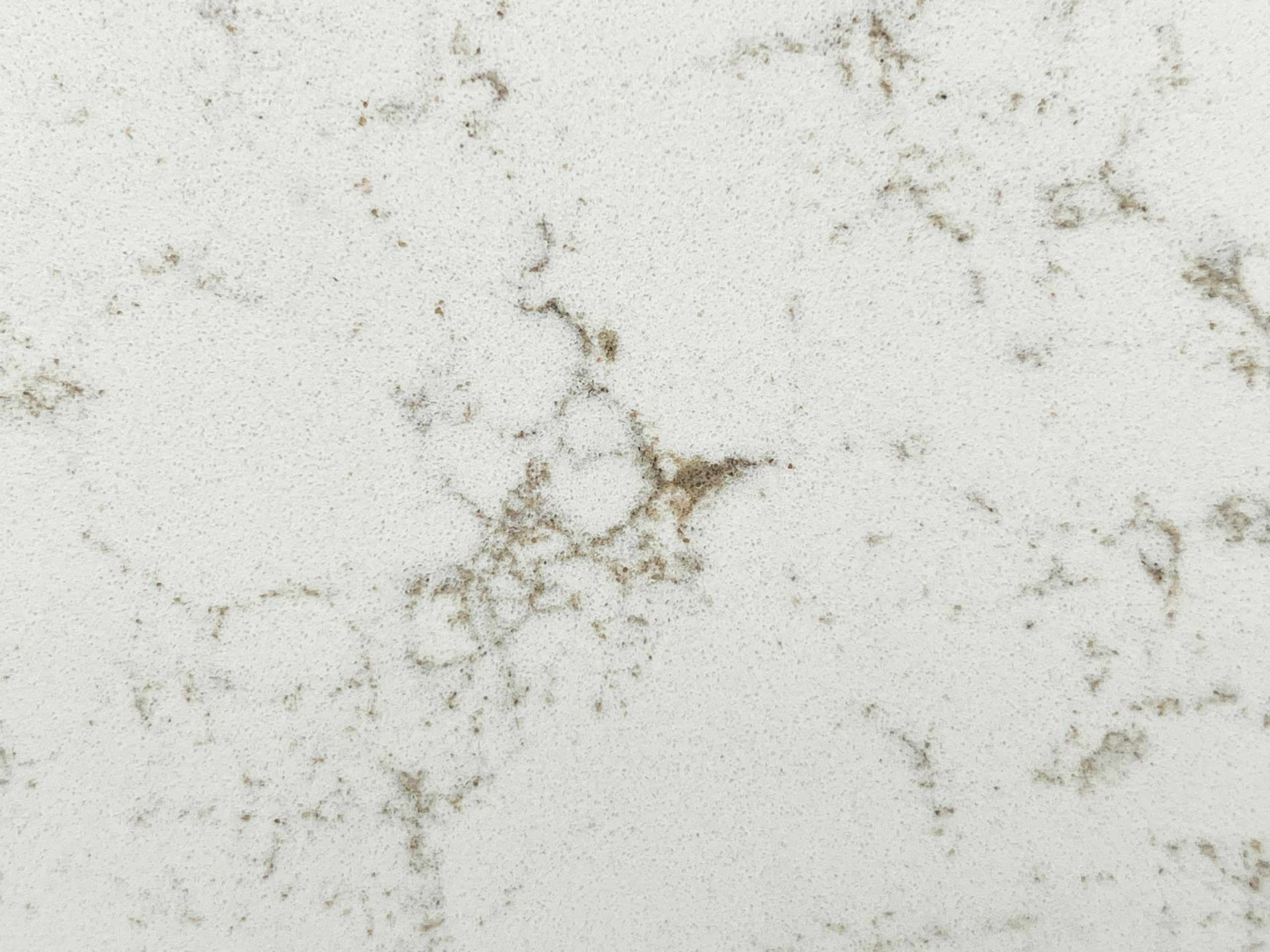 Group 3 Quartz - Surfaces by Pacific | White Quartz Countertops for Kitchen